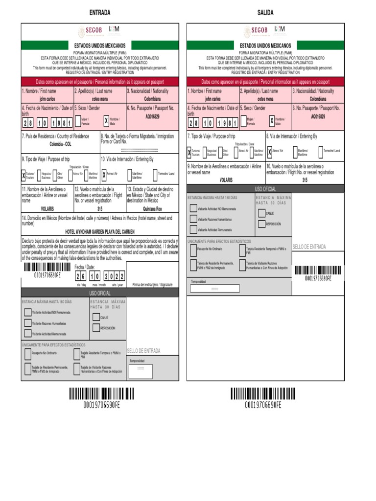 Forma Migratoria 00019706690FE | PDF | Visa de viaje | Gobierno y ...