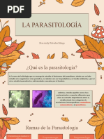 Guía sobre Cromoniquia y Alteraciones Ungueales | PDF | Clavo (anatomía ...