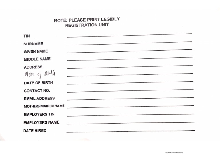 BIR IRIS System | PDF