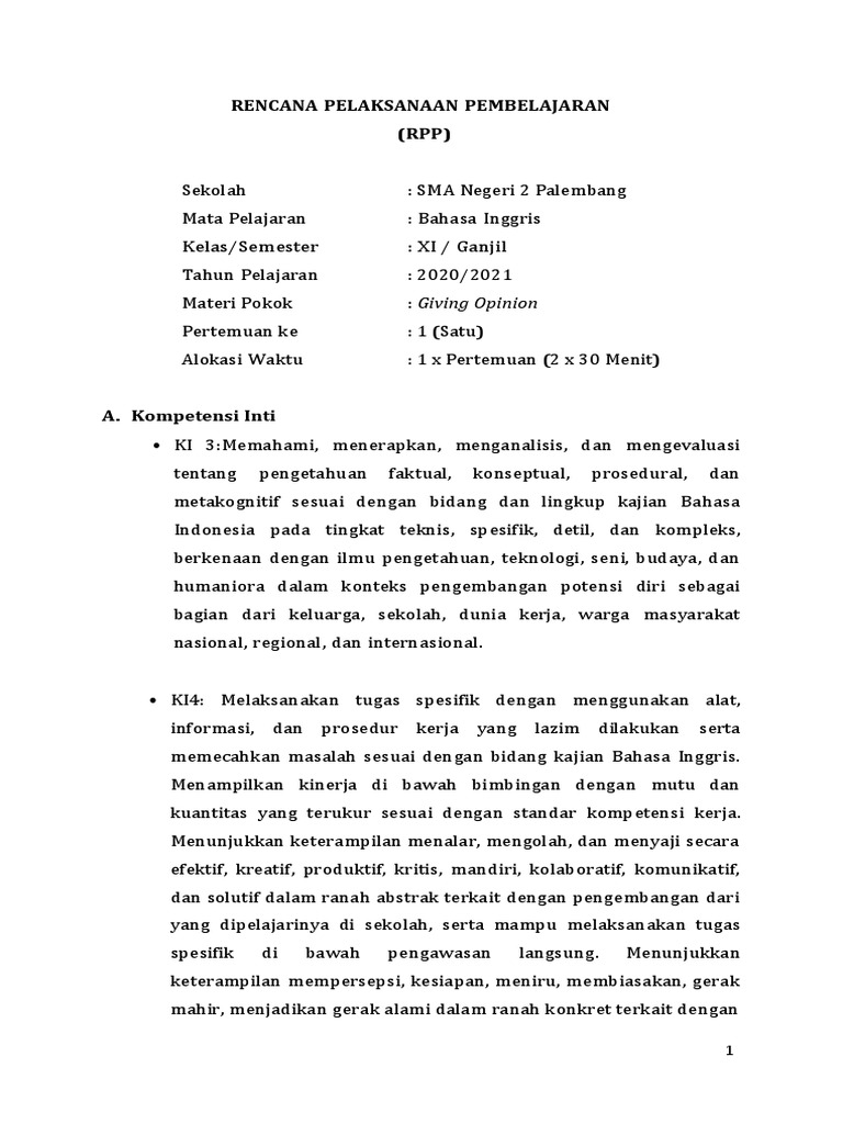 RPP PBL Opinion | PDF