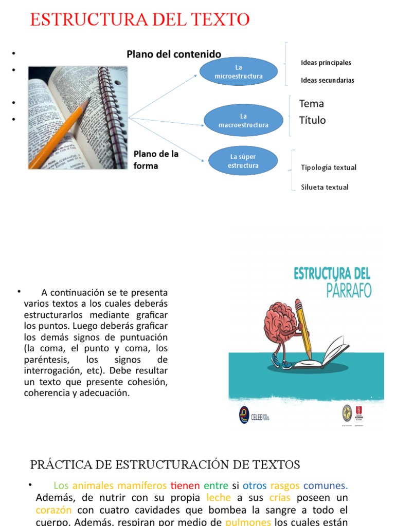 Práctica de Estructuración de Textos | PDF | Radiodifusión | Mente