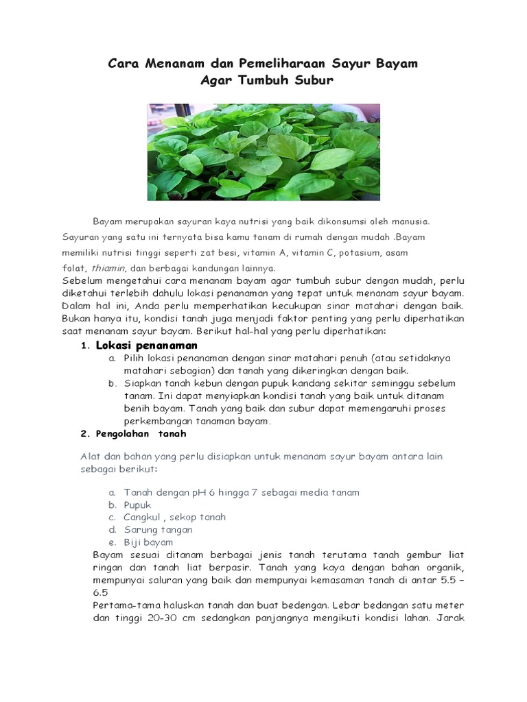 Cara Menanam Dan Memelihara Sayur Bayam Pdf