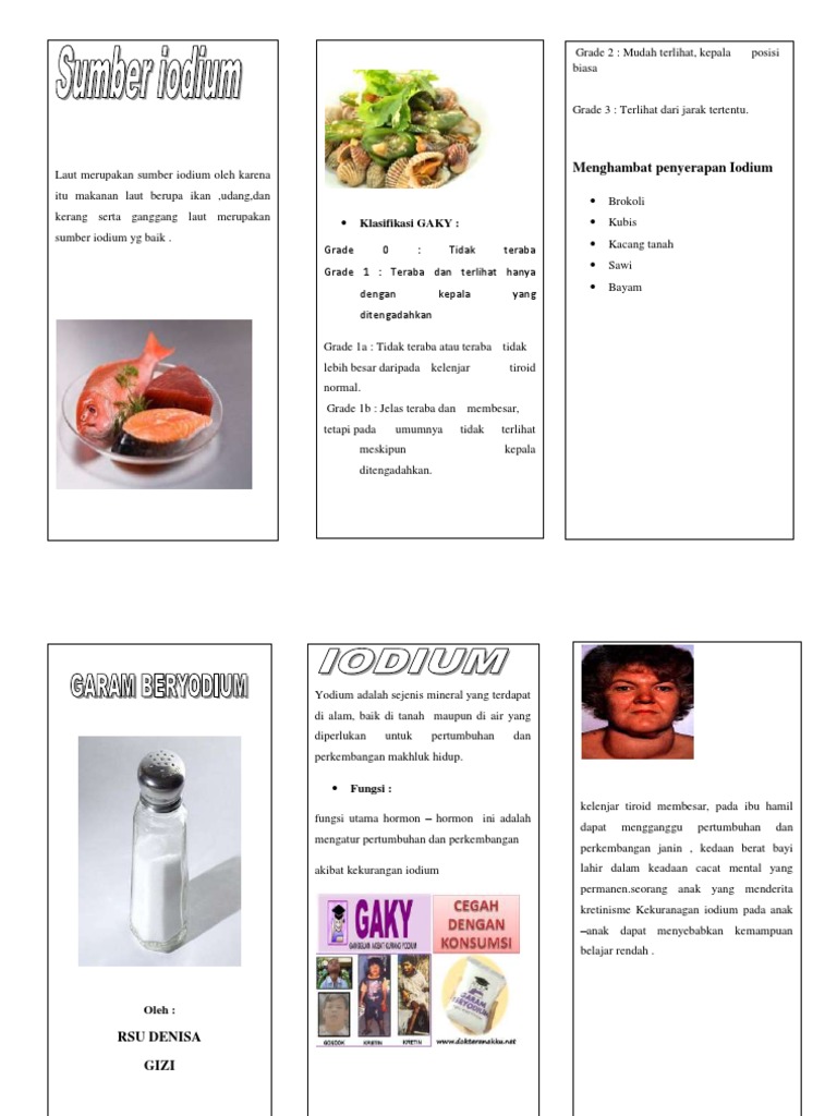 Lemflete GAKY PKG | PDF