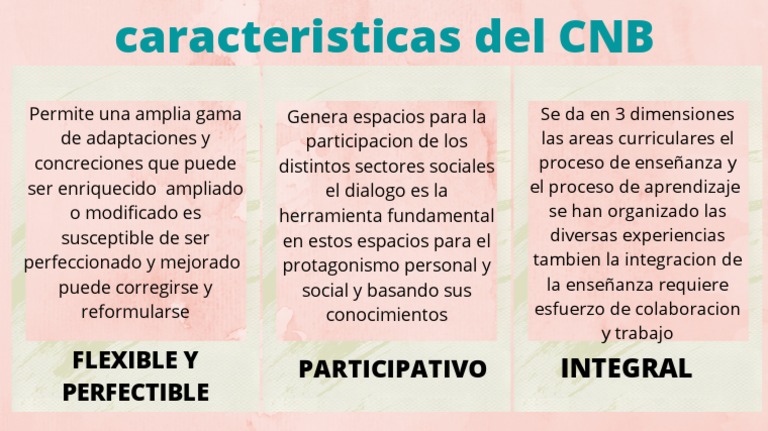 Caracteristicas Del CNB | PDF | Arte