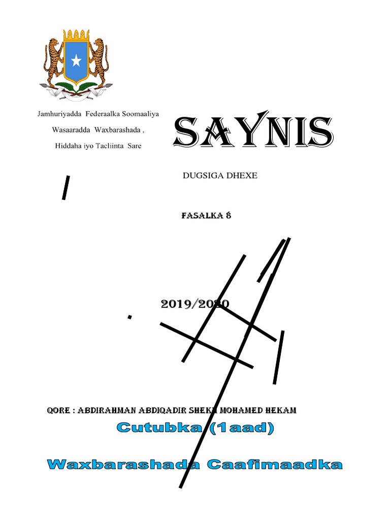 Saynis 8 Aad | PDF