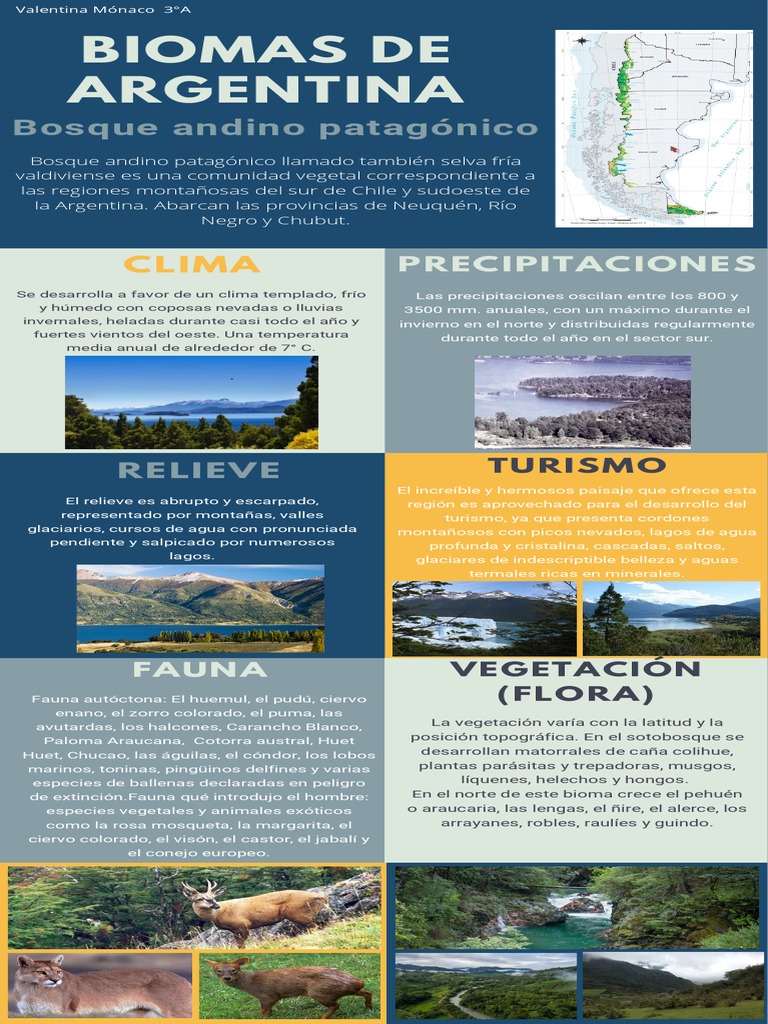 Infografias - Biomas de Argentina | PDF | Selva | Clima