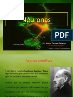 Estructura y Función de la Neurona | PDF | Neurona | Axon