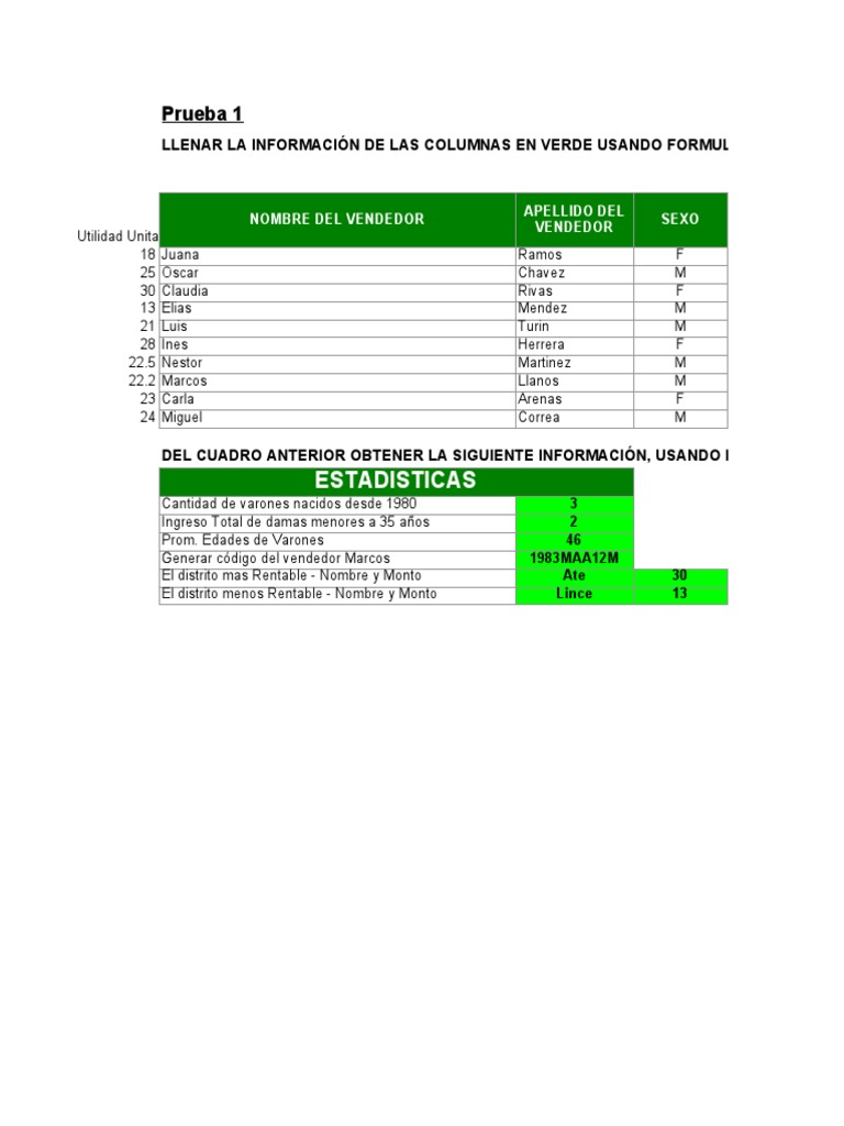 Prueba de Excel - Gamboa Ramirez Janina | PDF