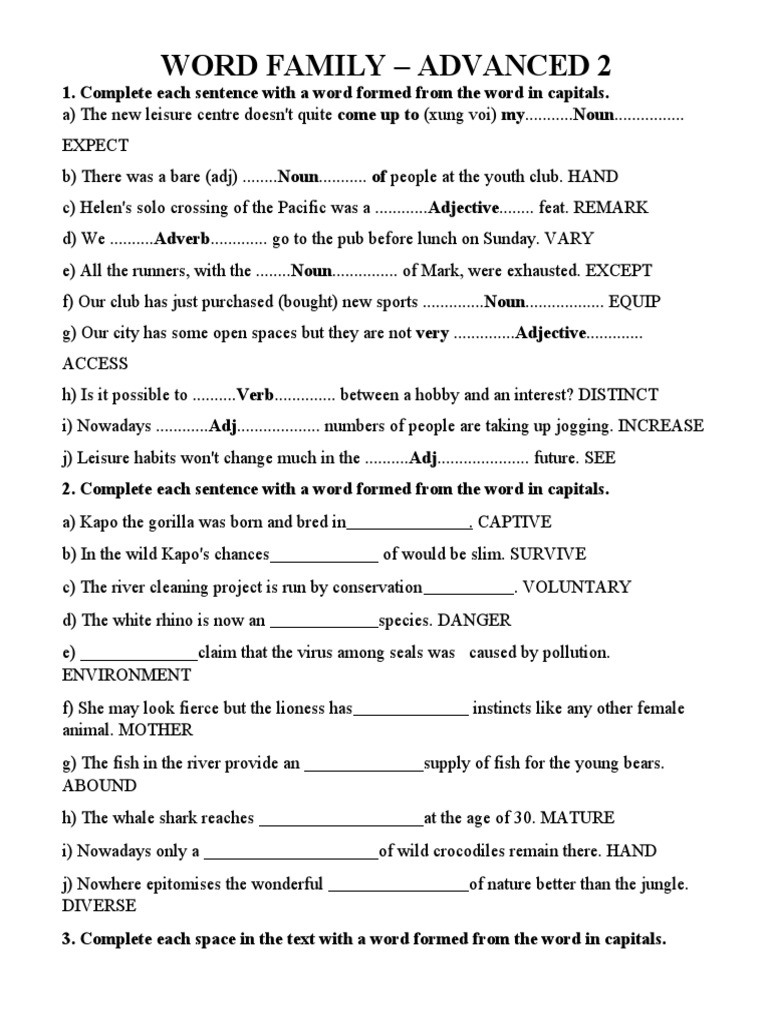 Word Formation Exercises for Grade 4 | PDF | Parrot | Supermarket