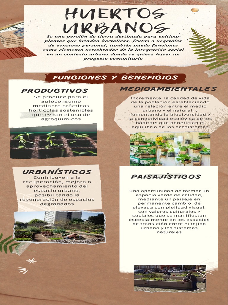 Huertos Urbanos, Rocío Covarrubias | PDF | Ecología | Plantas