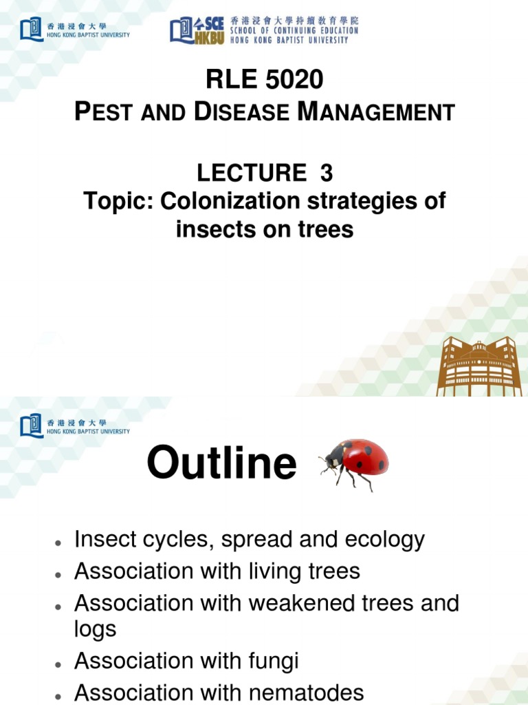 Lecture 3 Colonization Strategies of Insects On Trees | PDF | Pupa | Beetle