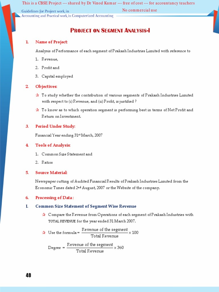 Project On Segment Analysis Class 12 | PDF | Return On Investment | Pie ...