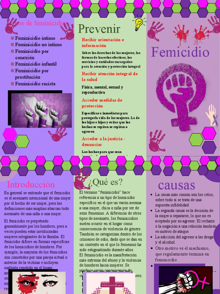 Triptico Femicidio | PDF | La violencia contra las mujeres | Violencia