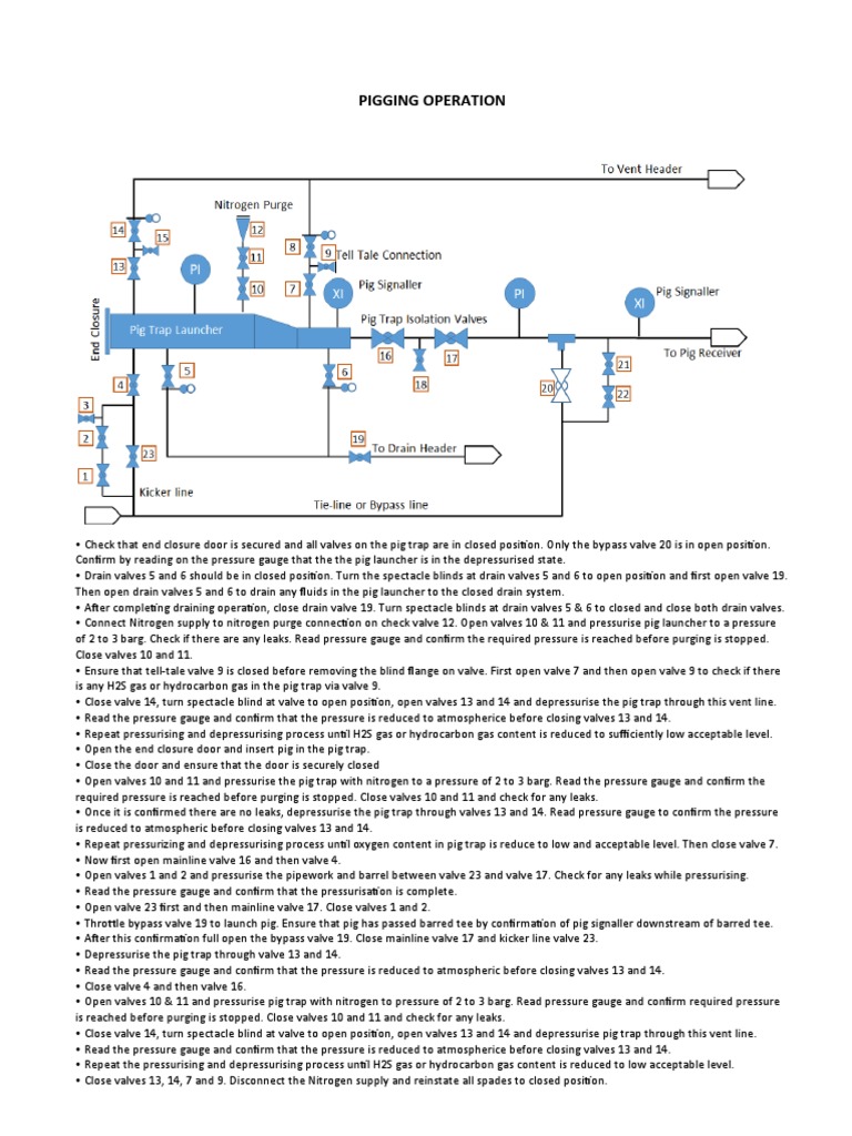 Pipeline Pigging | Download Free PDF | Valve | Chemical Engineering