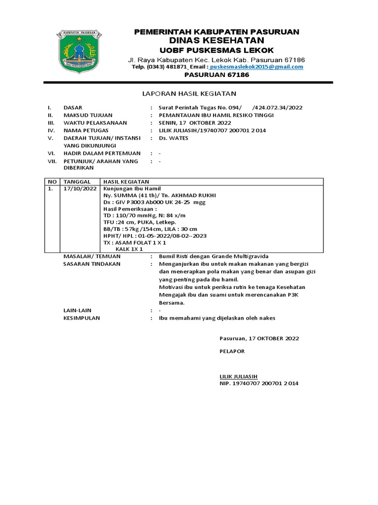 LHK Bumil Risti Oktober 2022 | PDF