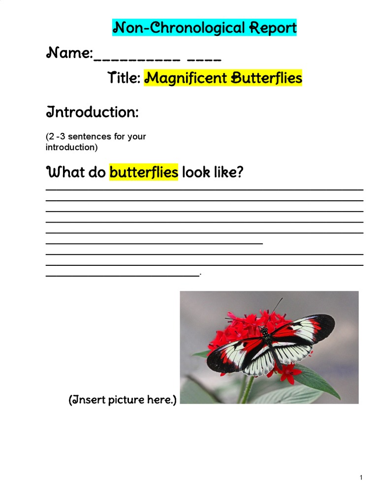 Grade 3 Non-Chronological Butterfly Report | PDF | Business