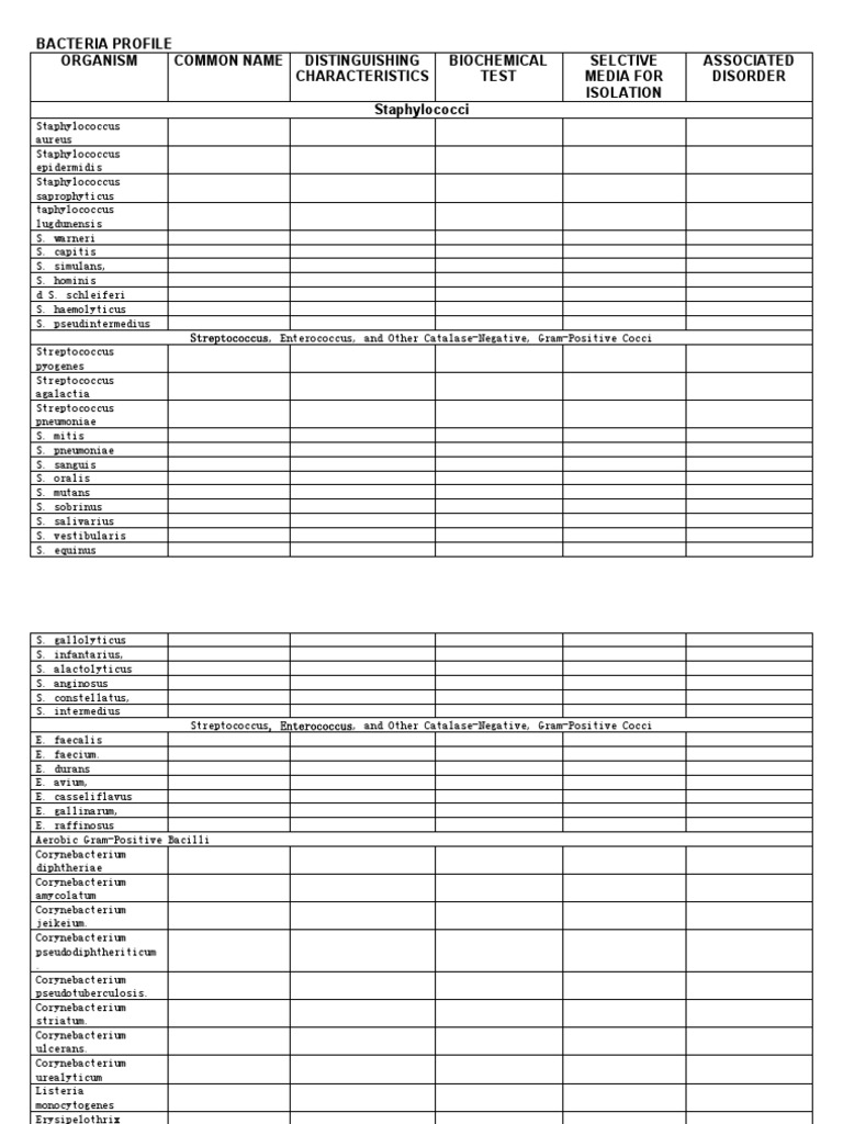 Bacteria Profile | PDF | Bacillus | Streptococcus