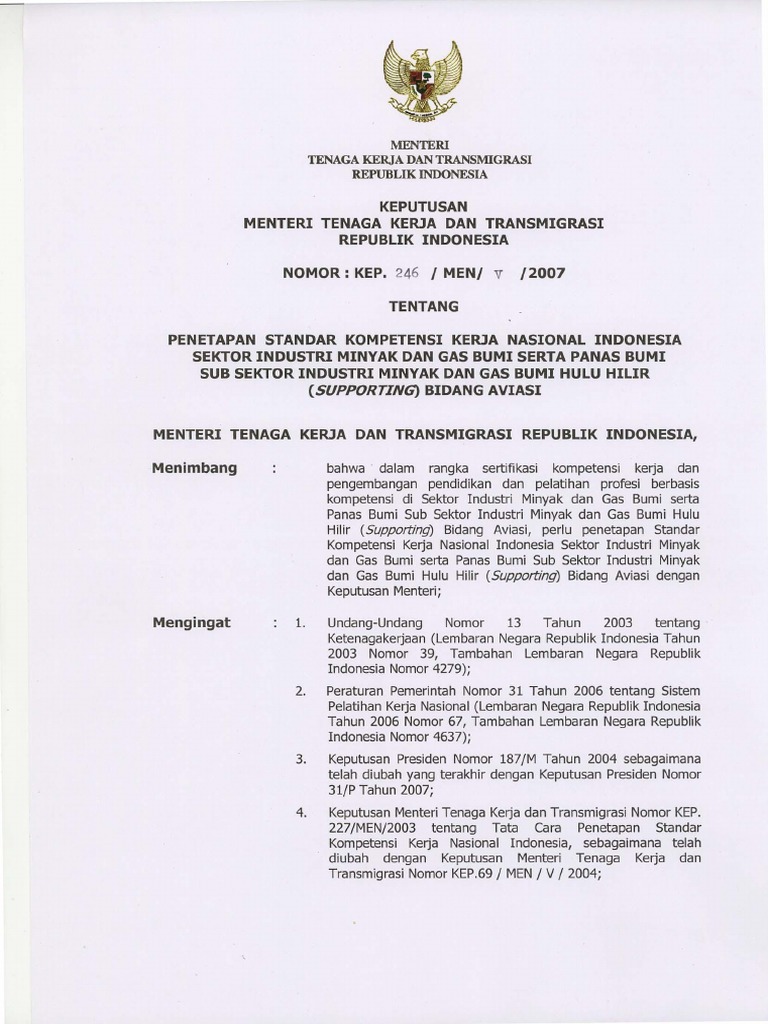 SKKNI 2007-246 - Aviasi | PDF