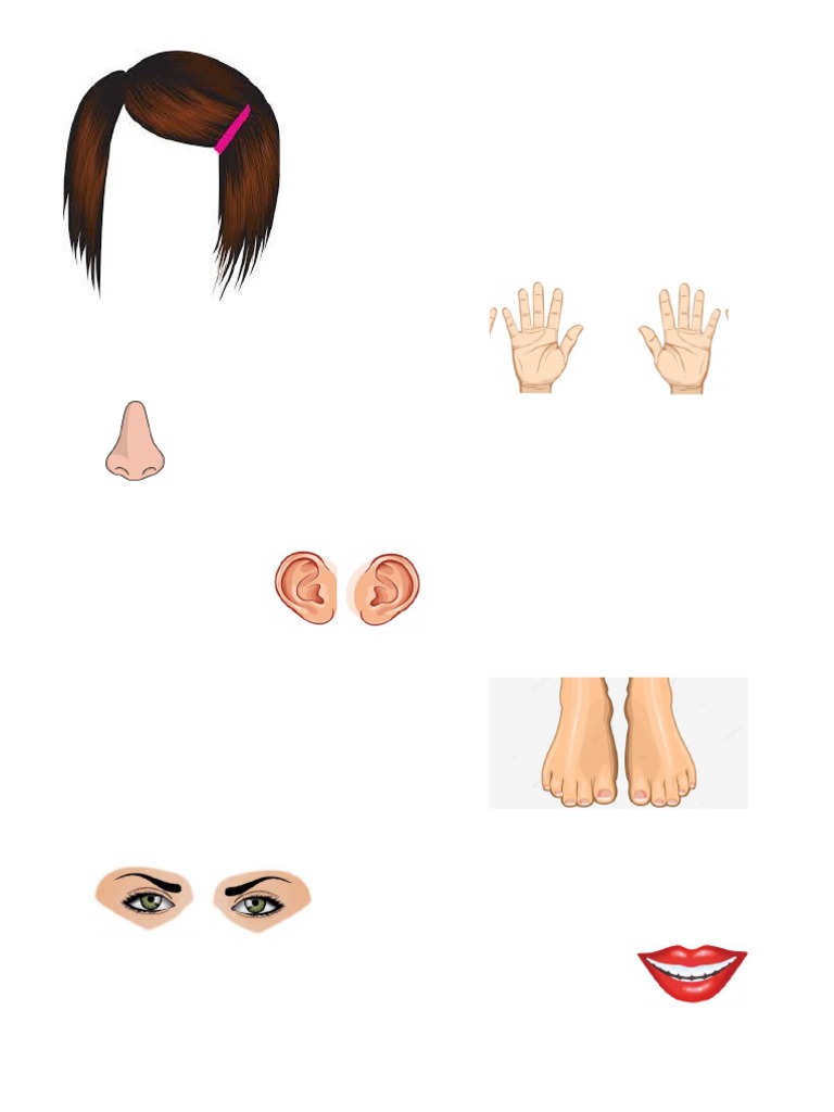 Week 6 - Body Part Pasting External | PDF