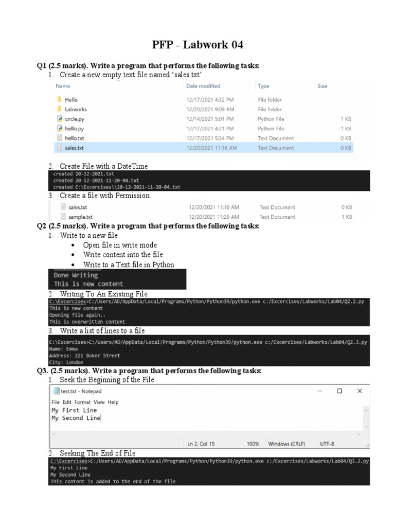Python File Handling Lab Exercises | PDF