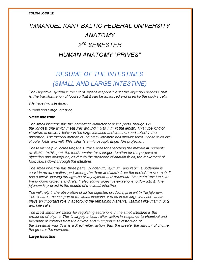 Small and Large Intestine Overview | PDF | Small Intestine ...