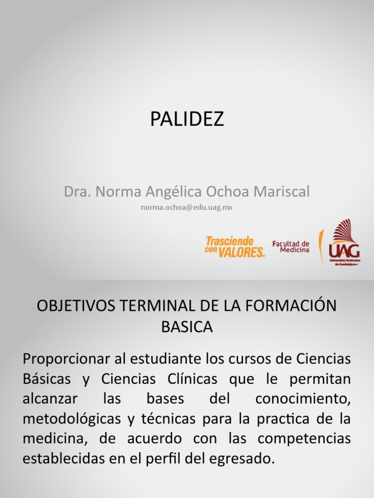 Palidez | PDF | Anemia | Sangre