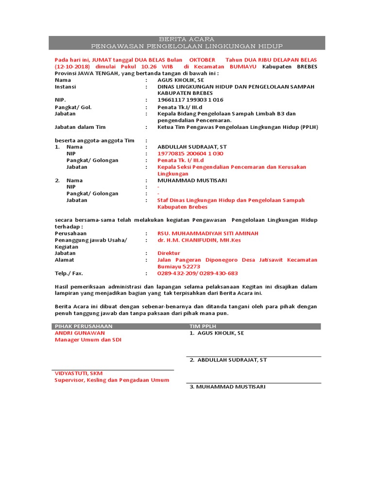Contoh Ba Pengawasan | PDF
