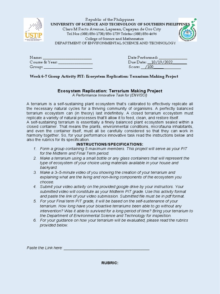 Group Performance Innovative Task-Ecosystem Replication - Terrarium Making Project | PDF | Ecosystem