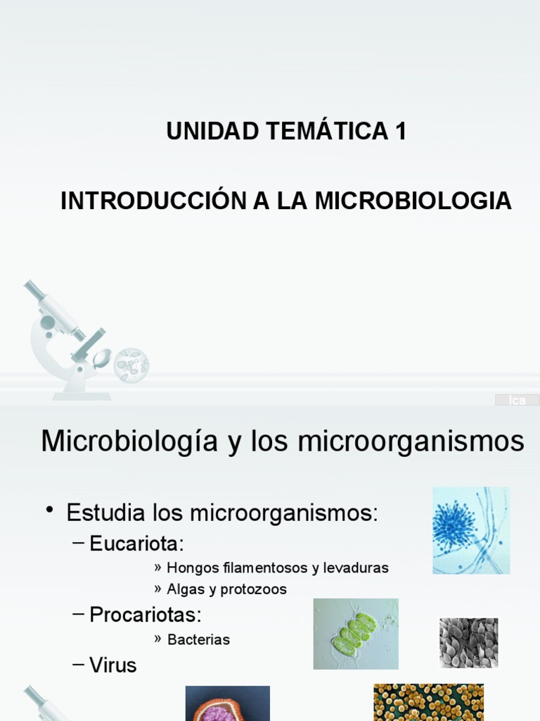 Introducción a la Microbiología | PDF | Las bacterias | Virus