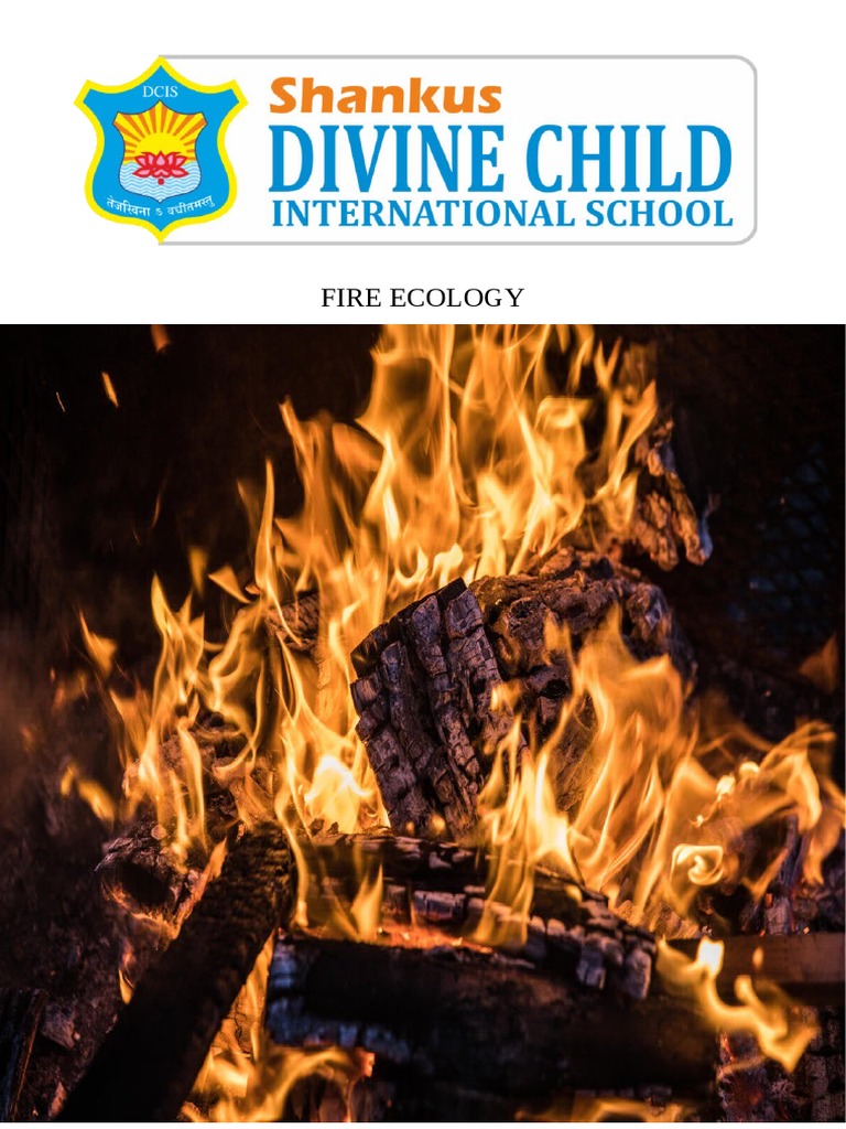 Fire Ecology Project by Tamanna Thawani | PDF | Fires | Combustion
