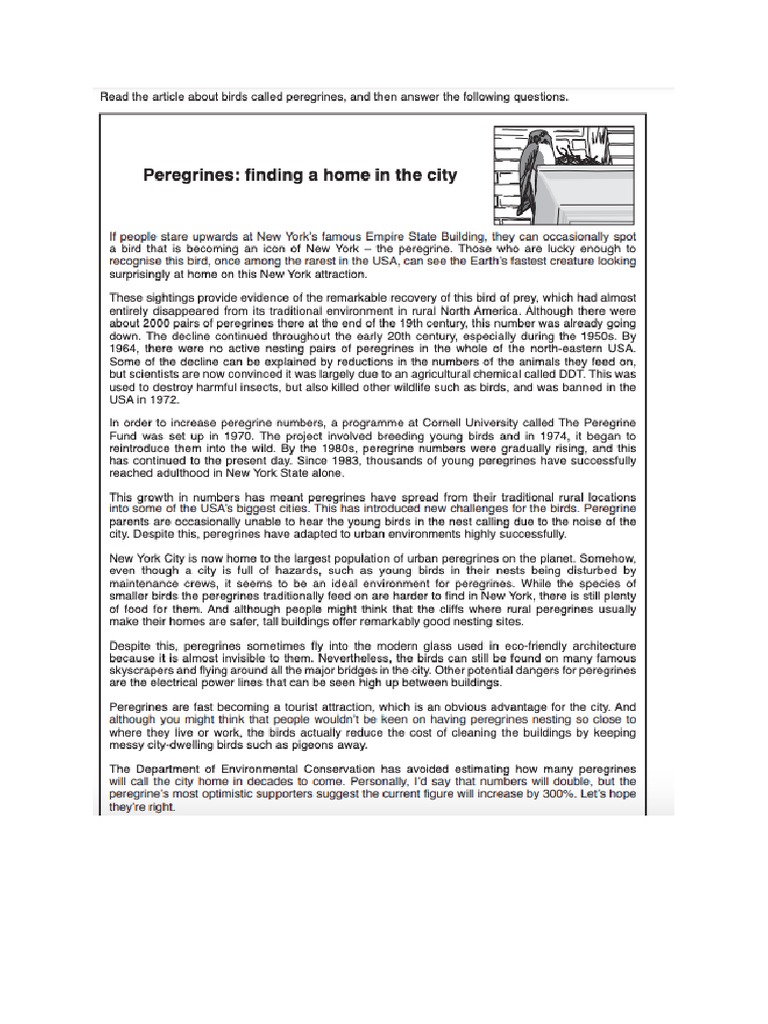 0511 w19 QP 23 | PDF