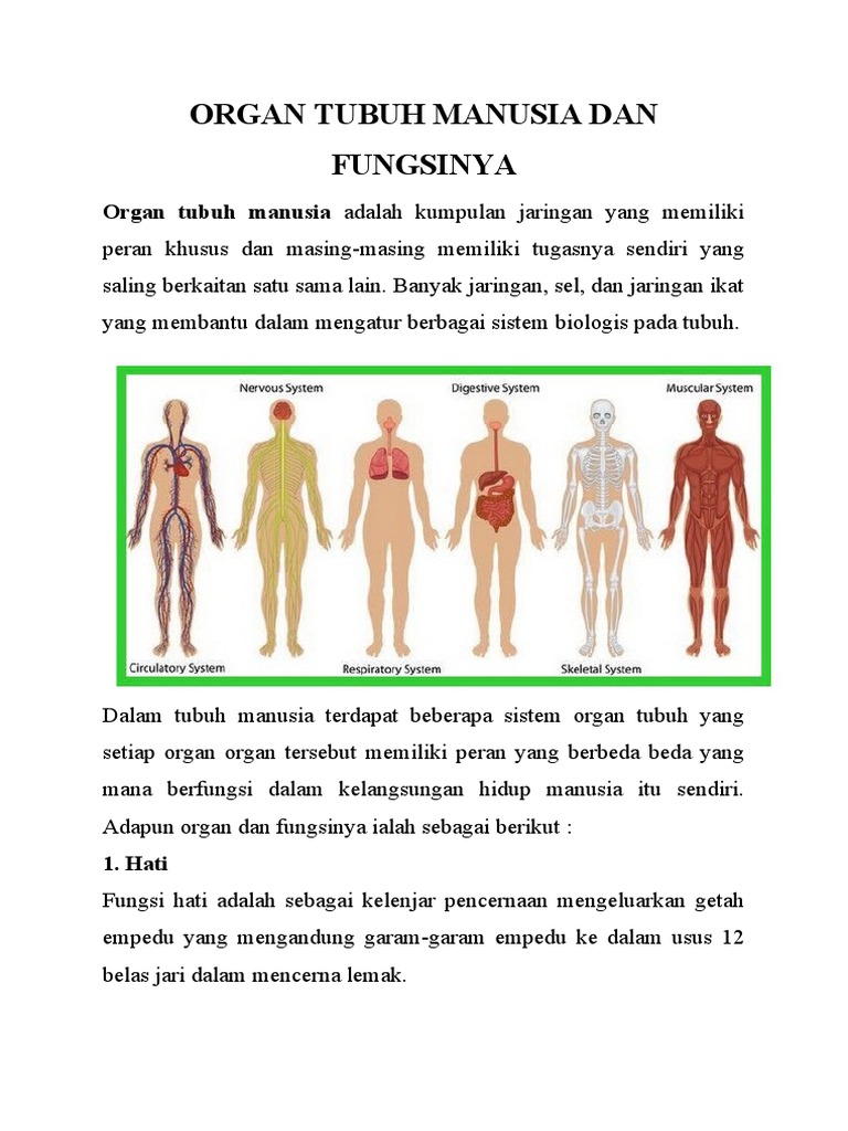 Fungsi Organ Tubuh Manusia | PDF | Kesehatan Holistik