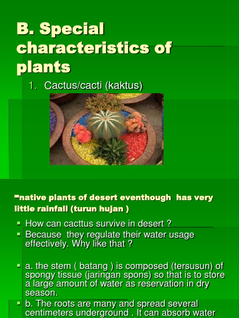 Characteristics of Plants | PDF | Root | Plants
