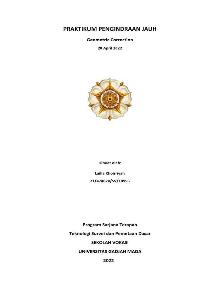 Geometric Correction Pdf