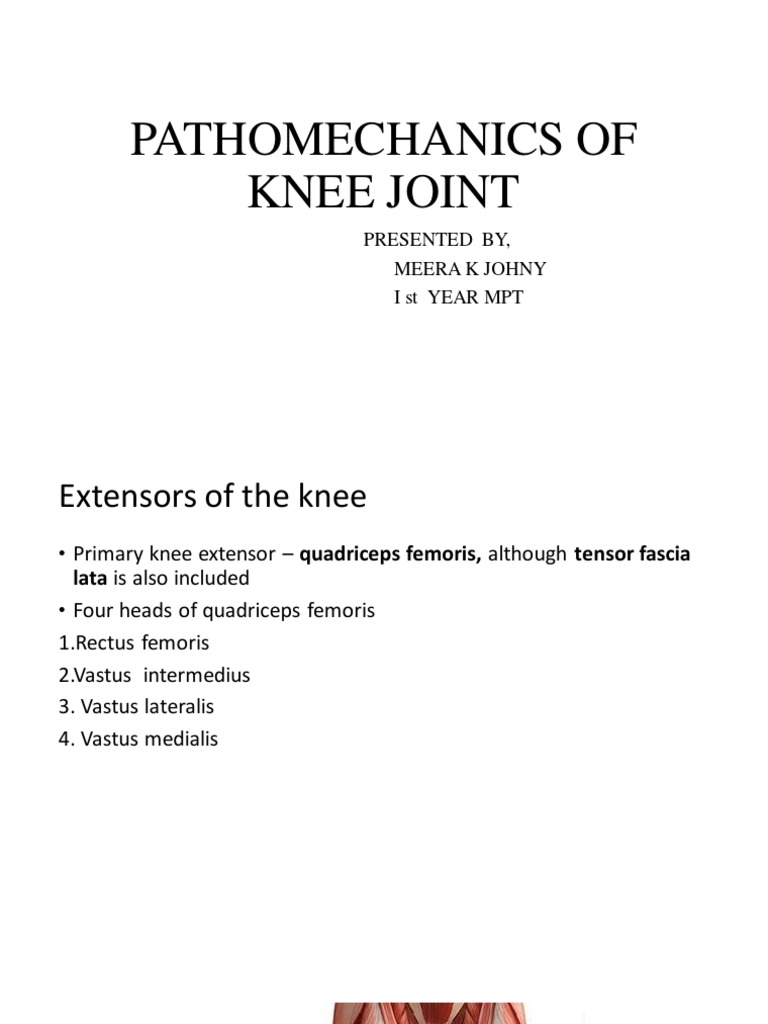 Pathomechanics of Knee Joint | PDF | Knee | Anatomical Terms Of Motion