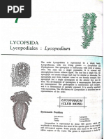 Stelar System (Pteridophytes) PDF | PDF