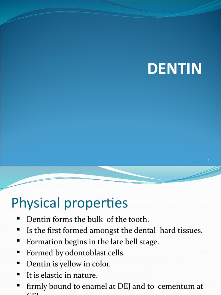 Dentin | PDF | Dentin | Anatomy
