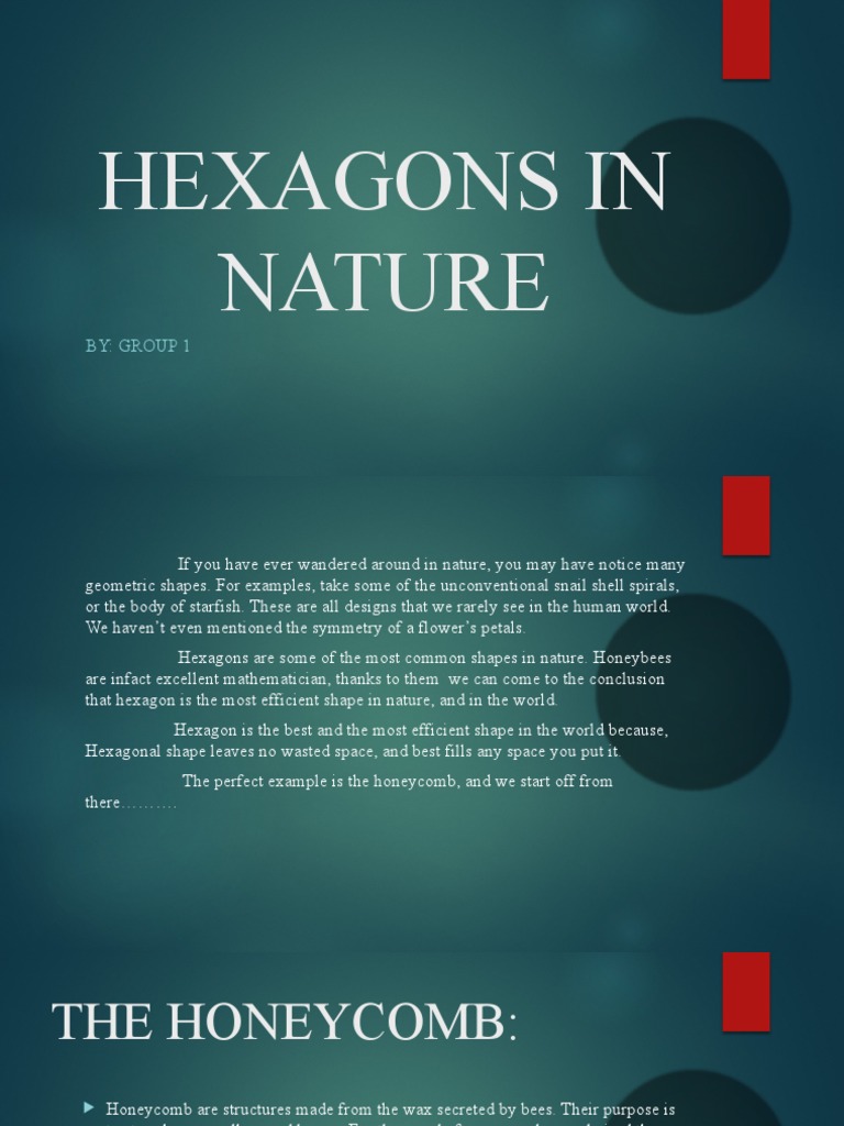 Hexagons in Nature | PDF | Euclid | Polytopes