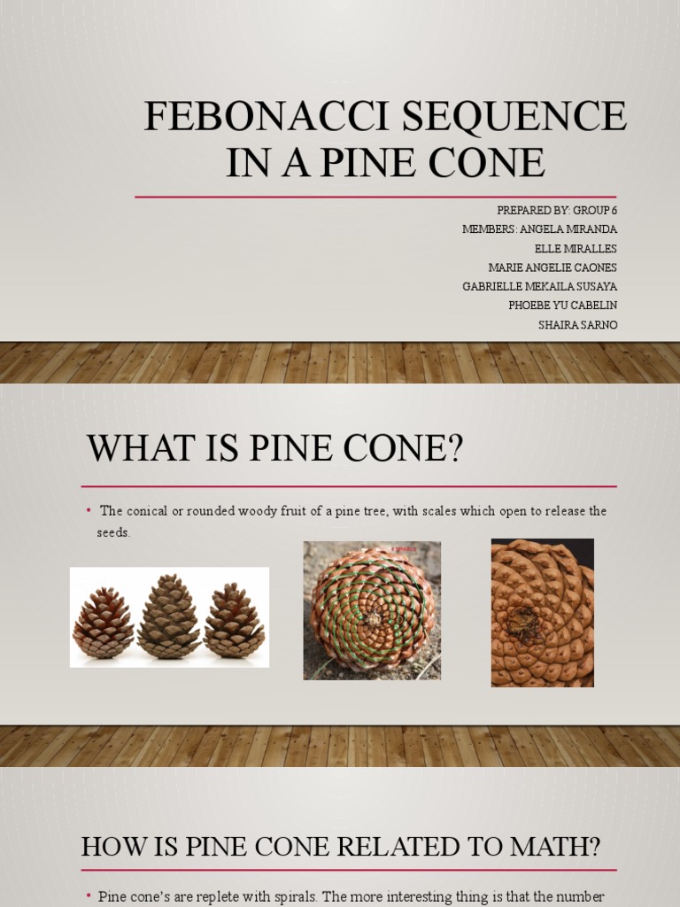 Powerpoint Project in Math by Group 6 | PDF