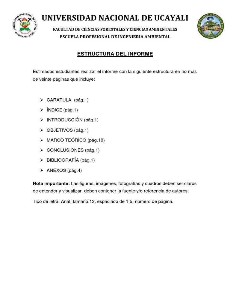 Estructura Del Informe | PDF