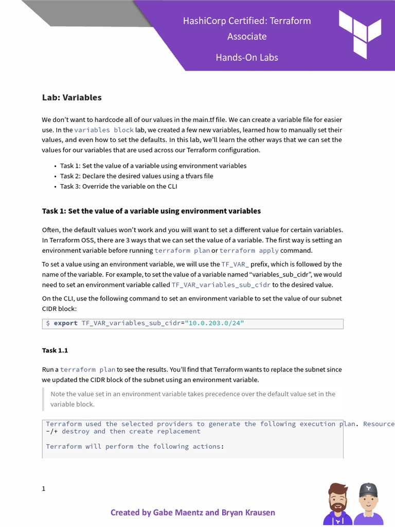 8a Terraform Variables Pdf Command Line Interface Information Technology Management
