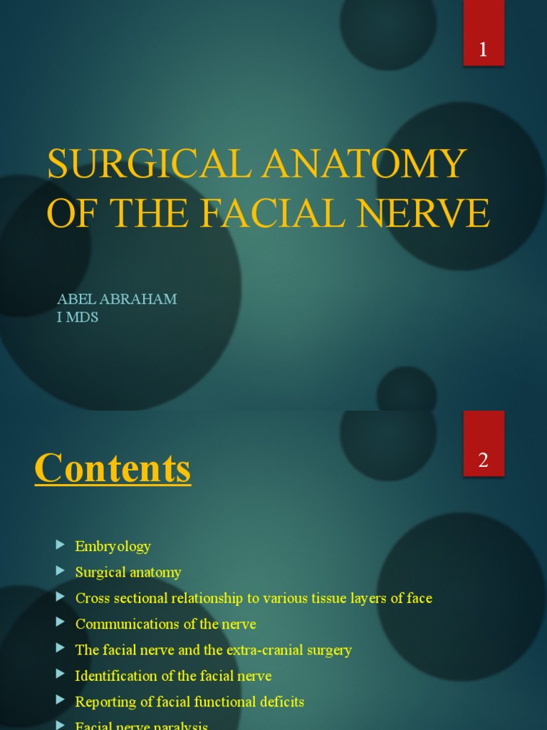 Surgical Anatomy of The Facial Nerve | PDF | Medical Specialties | Nervous System