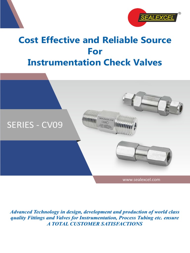 Check Valves Series Cv09 | PDF | Valve | Pipe (Fluid Conveyance)