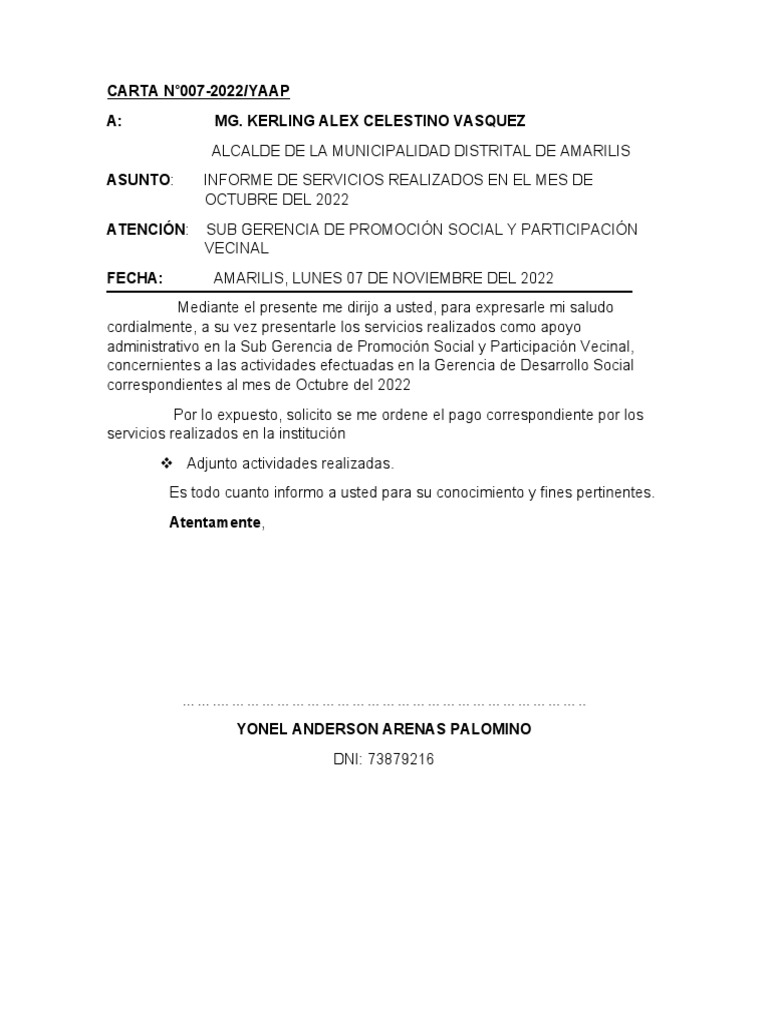 Informe 1 Yonel | PDF