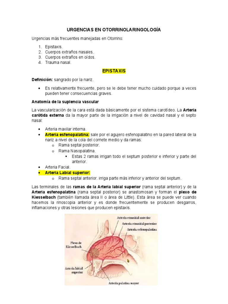 Urgencias en Otorrinolaringología | PDF | Nariz humana | Especialidades ...