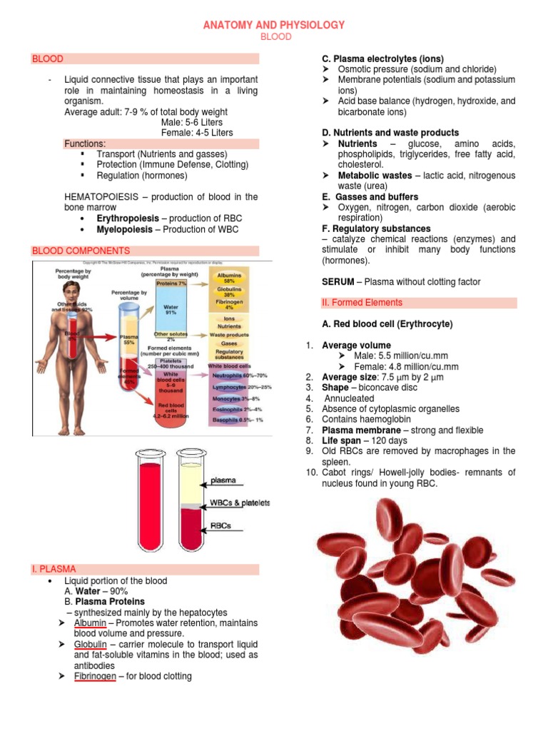BLOOD Transes | PDF | White Blood Cell | Red Blood Cell