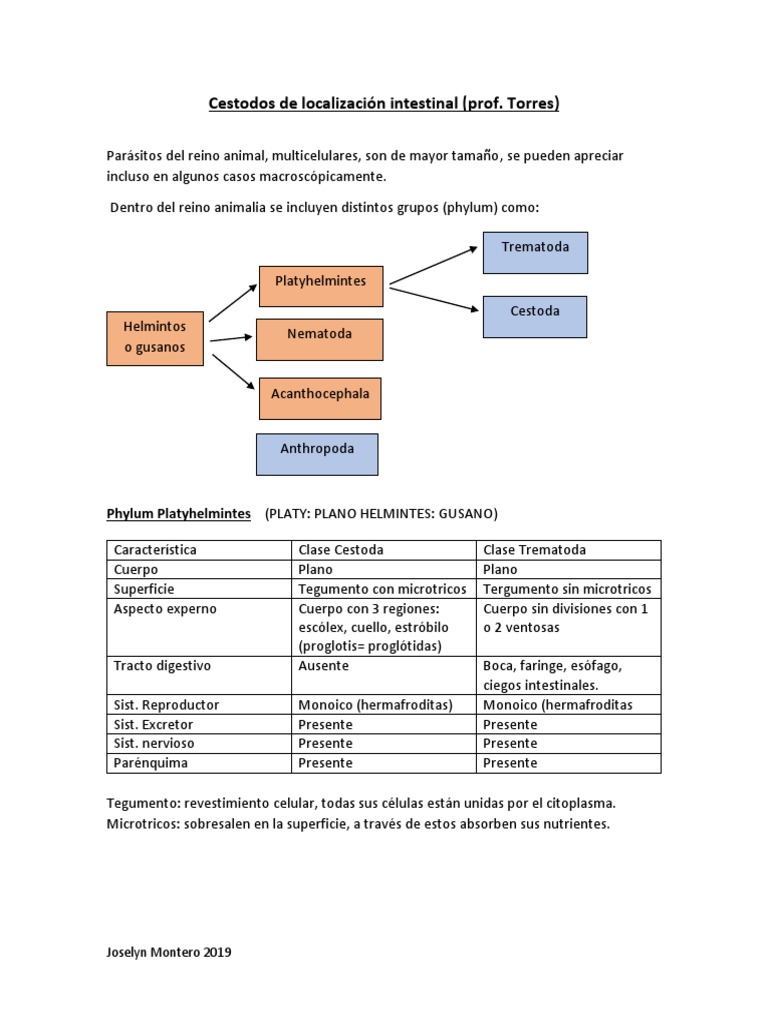 PRST 111 Clase 12 Cestodos | PDF | Sistema reproductivo | Biología