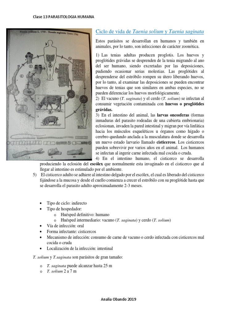 PRST 111 Clase 13 Taenias | PDF | Medicina CLINICA | Especialidades Medicas