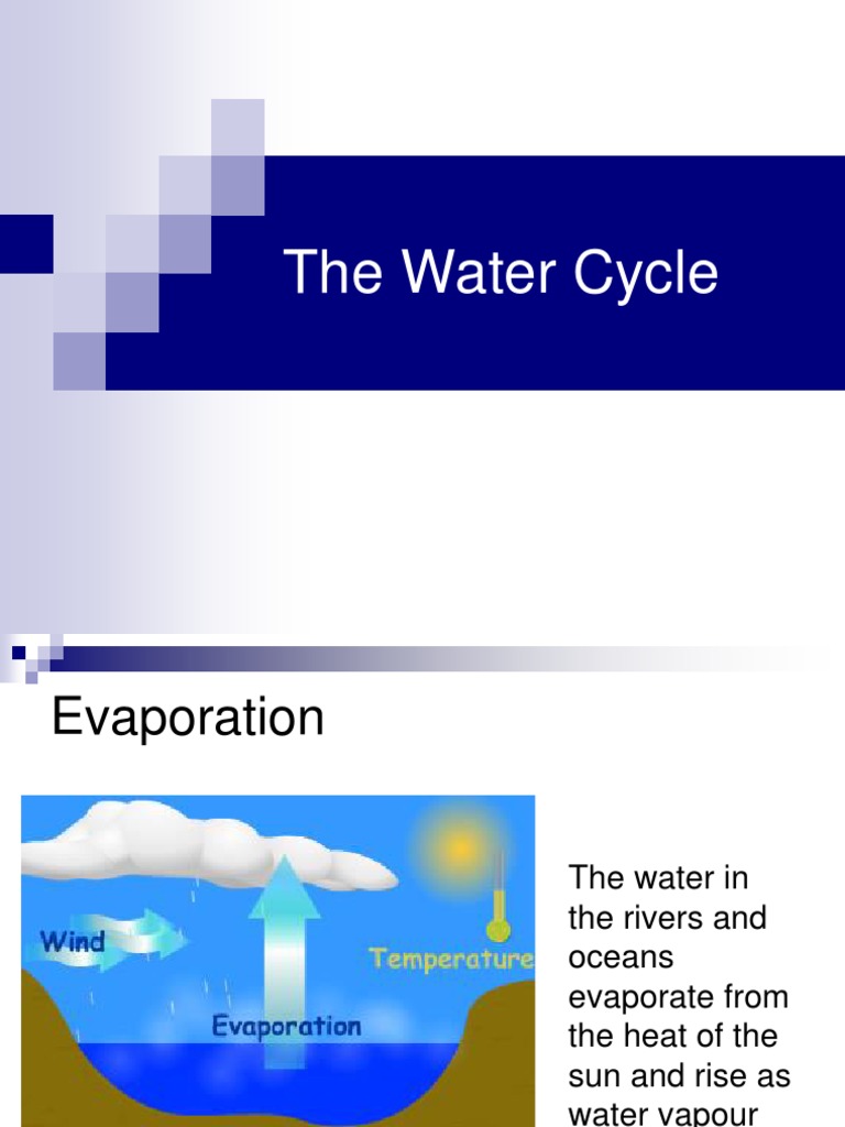 The Water Cycle | PDF