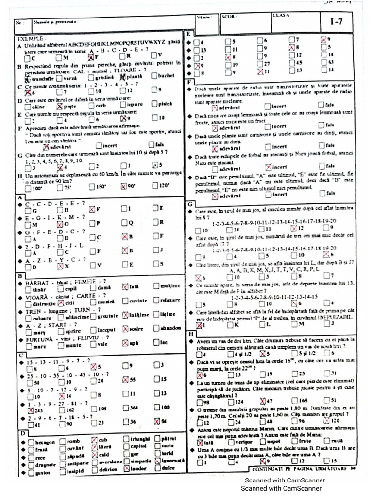 Testul I7 Oficial 45 Minute | PDF